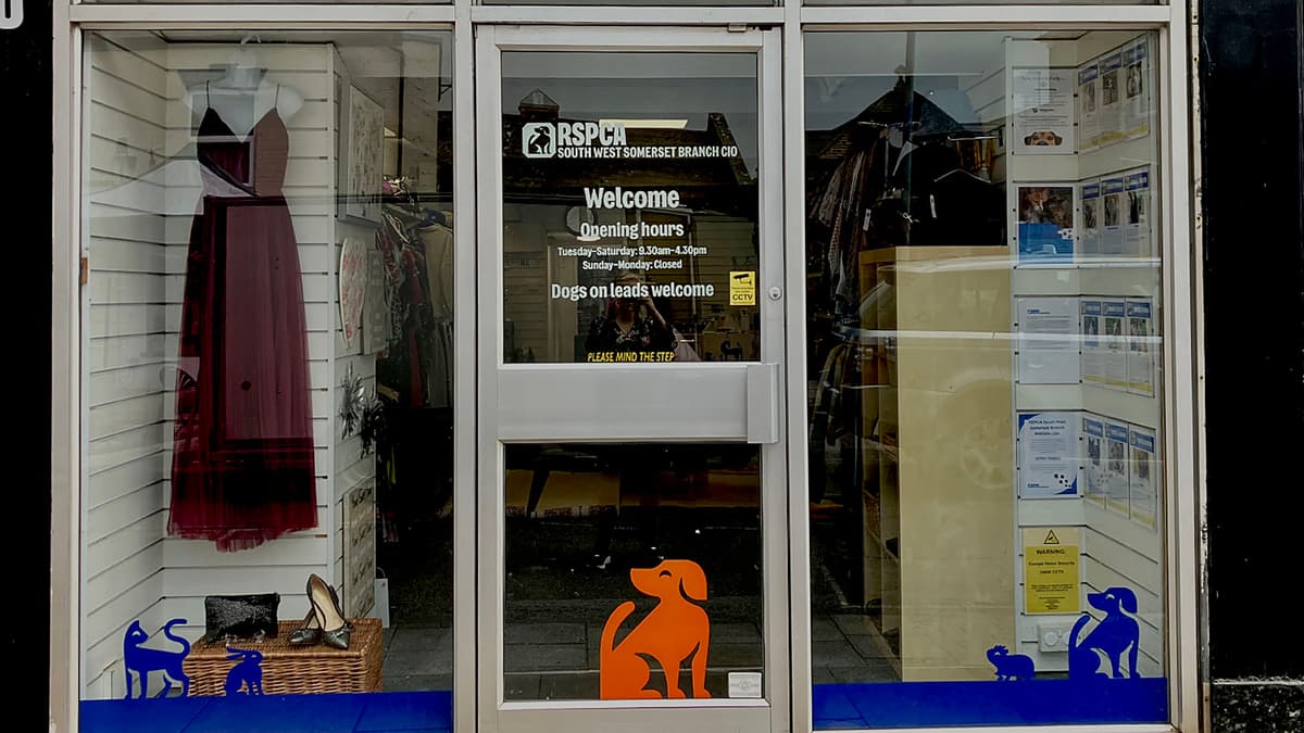 Wellington RSPCA shop to reopen this week | wellington-today.co.uk